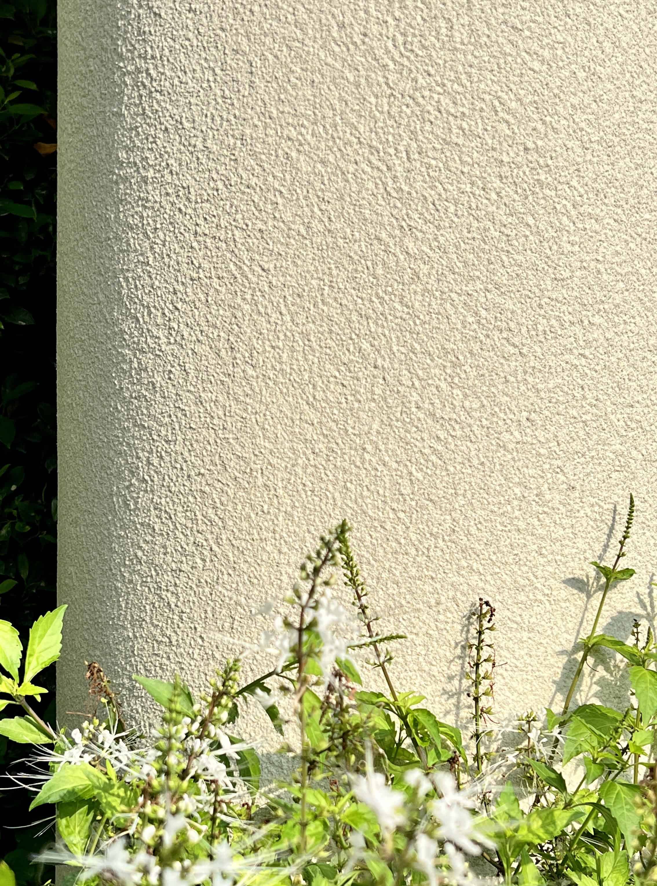 CERAMIC COAT: FINE SAND COATING - SUZUKA® THAILAND